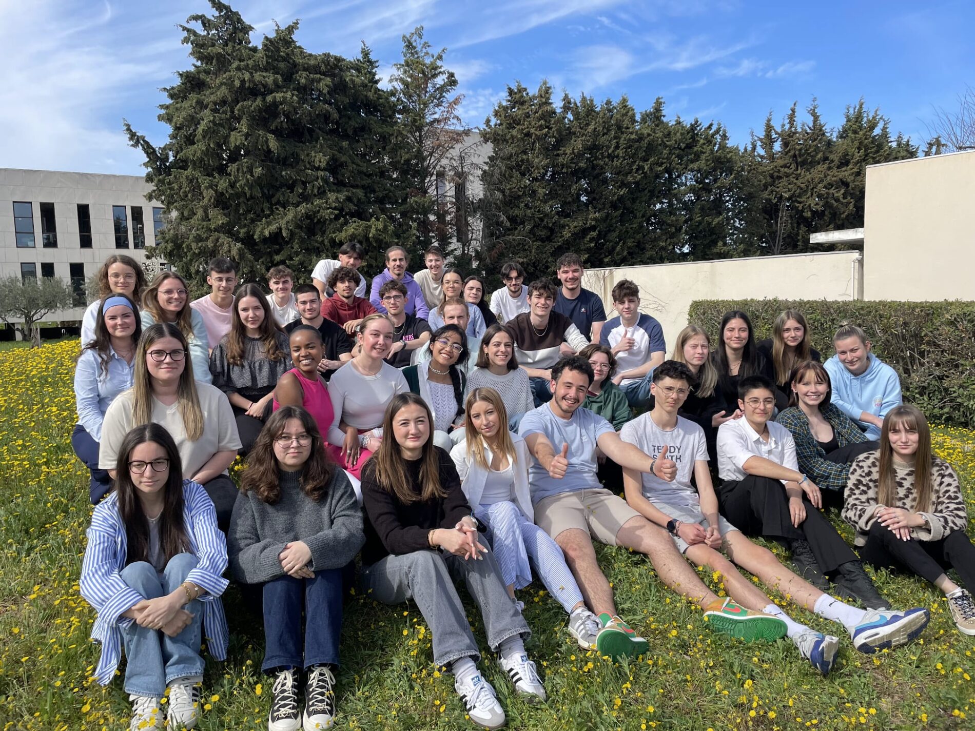BACHELOR UNIVERSITAIRE DE TECHNOLOGIE Packaging Emballage et ...